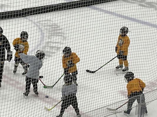 UPMC LEMIEUX SPORTS COMPLEX - Updated October 2025 - 46 Photos & 26 ...