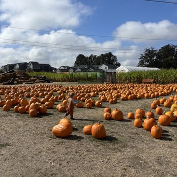 YESTERYEAR FARMS - Updated October 2025 - 200 Photos & 114 Reviews ...