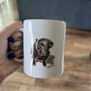 LENSPROTOGO - Updated September 2025 - 20 Photos & 28 Reviews - 130B ...