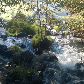 TALKING WATER GARDENS - Updated January 2026 - 18 Photos - 577 Waverly ...