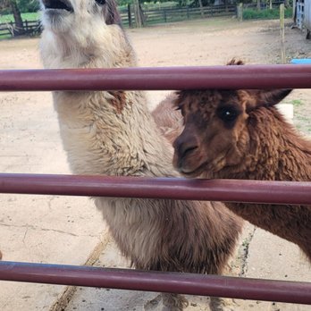 BRAEHEAD FARM - Updated December 2025 - 131 Photos & 60 Reviews - 1130 ...
