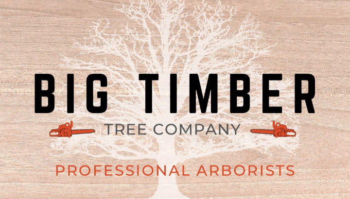 BIG TIMBER TREE’S - Updated July 2025 - Request a Quote - Albuquerque ...