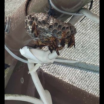 ARIELLE SPRING PLAZA - Updated February 2025 - 67 Photos & 18 Reviews ...