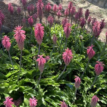 UCR BOTANIC GARDENS - Updated January 2026 - 699 Photos & 136 Reviews ...