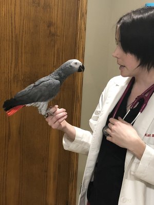 K+K VETERINARY SERVICES - KARING FOR KREATURES - 135 Photos & 61 ...