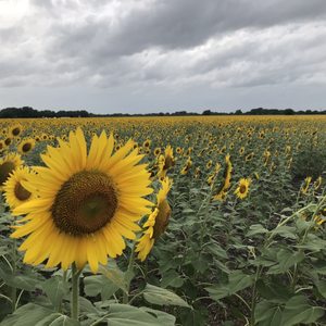 LAKE HALBERT BEACH PARK - Updated December 2025 - 20 Photos - 1600 Lake ...