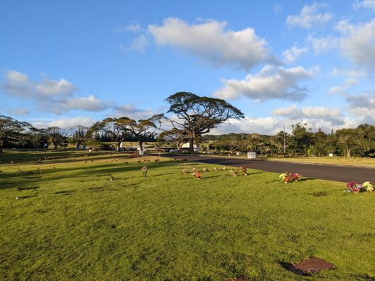 MILILANI MEMORIAL PARK & MORTUARY - Updated April 2025 - 427 Photos ...