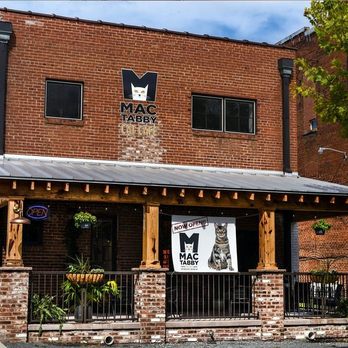 MAC TABBY CAT CAFE - Updated December 2025 - 79 Photos & 25 Reviews ...