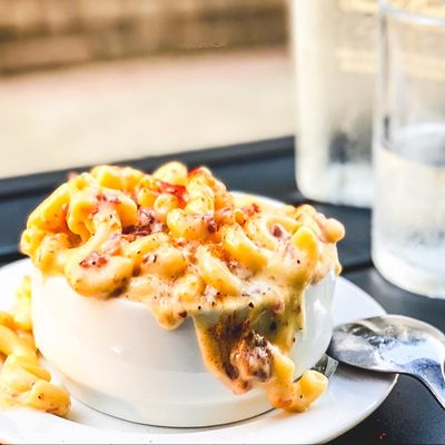 THE OAK - RALEIGH - Updated July 2024 - 541 Photos & 540 Reviews - 4035 ...