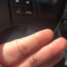 BUBBLECUPS - Updated August 2024 - 182 Photos & 108 Reviews - 1940 ...