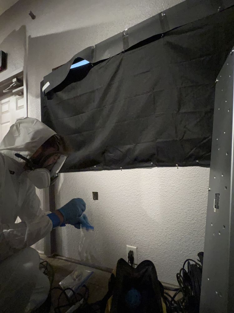 ENVIRONMENTAL MOLD INSPECTIONS - Updated May 2025 - Lake Elsinore ...