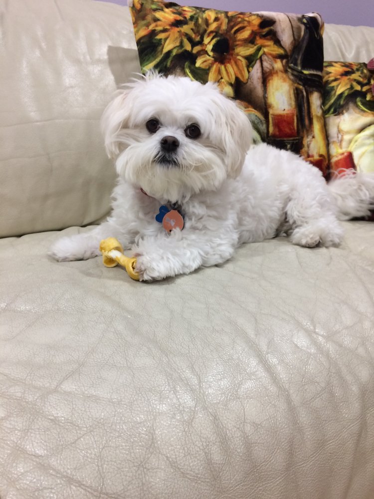 MAY HAIR DESIGN - Updated December 2025 - 171 E Live Oak Ave, Arcadia ...