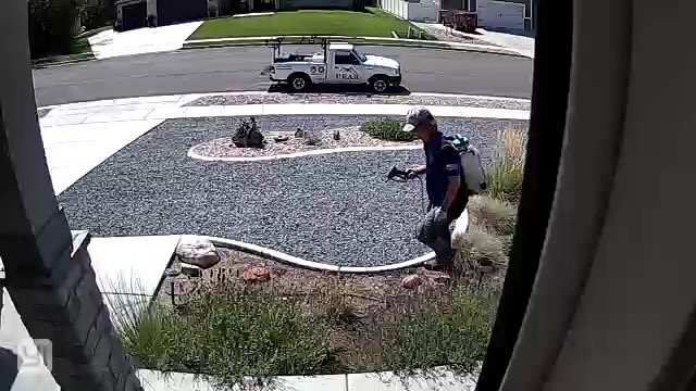 PEAK PEST CONTROL - Updated August 2025 - 10 Photos & 13 Reviews - 1573 ...