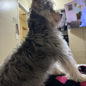 PETSMART - Updated February 2025 - 59 Photos & 134 Reviews - 575 ...