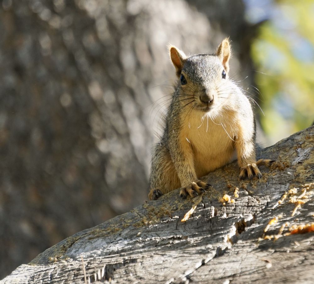 DUNSMORE PARK - 32 Photos & 14 Reviews - 4700 Dunsmore Ave, La ...