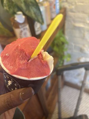 DOLCEZZA - Updated July 2025 - 455 Photos & 701 Reviews - 1704 ...