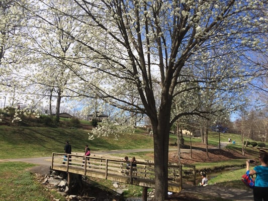 LINEBERGER PARK - Updated October 2025 - 20 Photos & 14 Reviews - 632 E ...