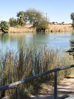 SUNBEAM LAKE - Updated April 2025 - 43 Photos & 12 Reviews - 1750 Drew ...