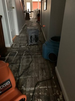 THE RESTORATION TEAM - Updated December 2025 - 22 Photos - 5 Forbes Rd ...