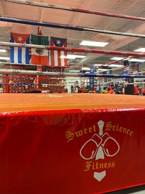 SWEET SCIENCE BOXING CLUB - 204 Photos & 40 Reviews - 6035 Peachtree Rd ...