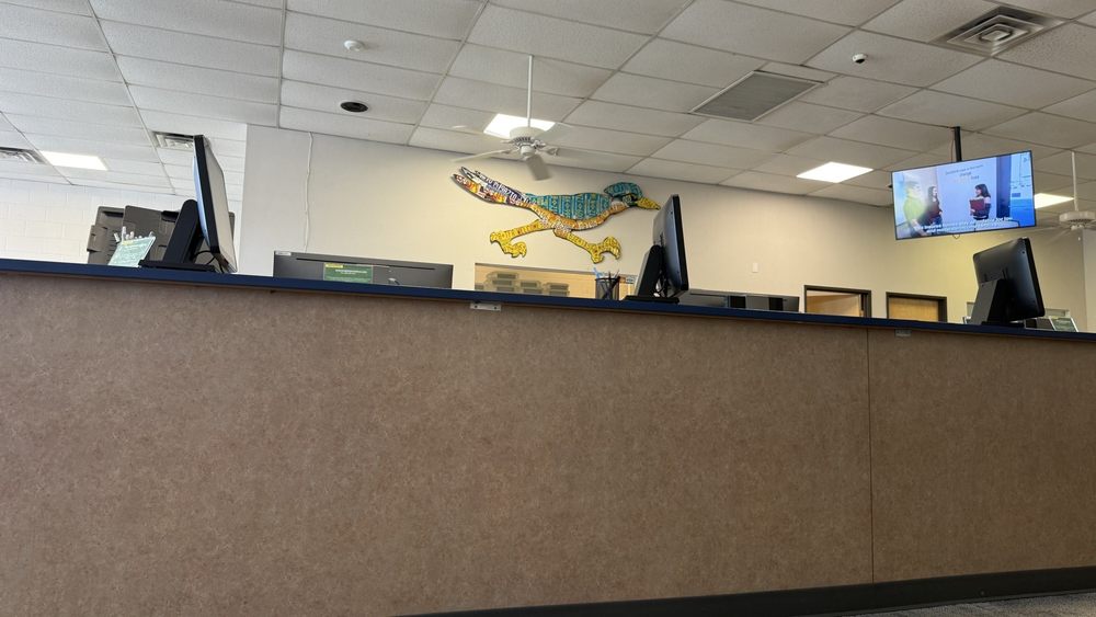 MVD EXPRESS - Updated May 2026 - 101 Reviews - 850 St Michael's Dr ...