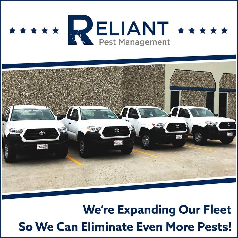 RELIANT PEST MANAGEMENT - Updated December 2025 - 12 Photos & 82 ...