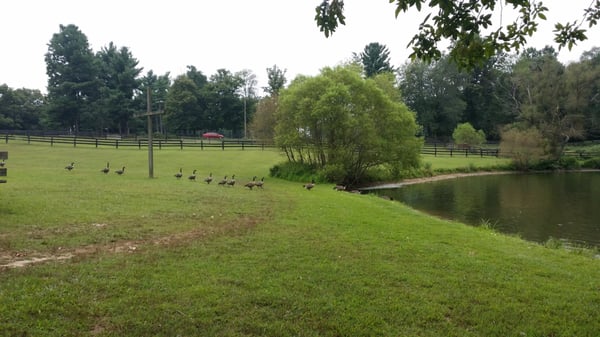 CAMP HIGHROAD - Updated August 2025 - 21164 Steptoe Hill Rd, Middleburg ...