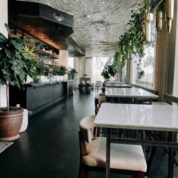 ARLO GREY BY KRISTEN KISH - Updated April 2025 - 1353 Photos & 485 ...