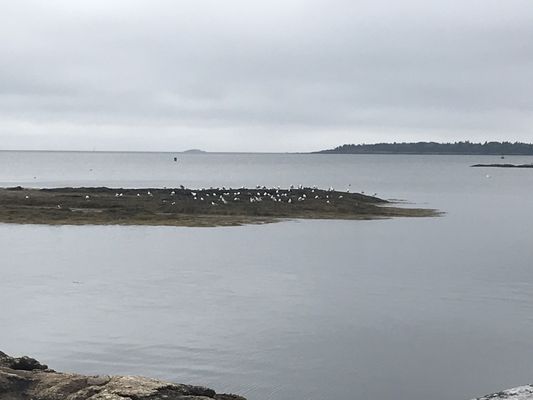 SEBASCO HARBOR RESORT - Updated September 2025 - 86 Photos & 51 Reviews ...