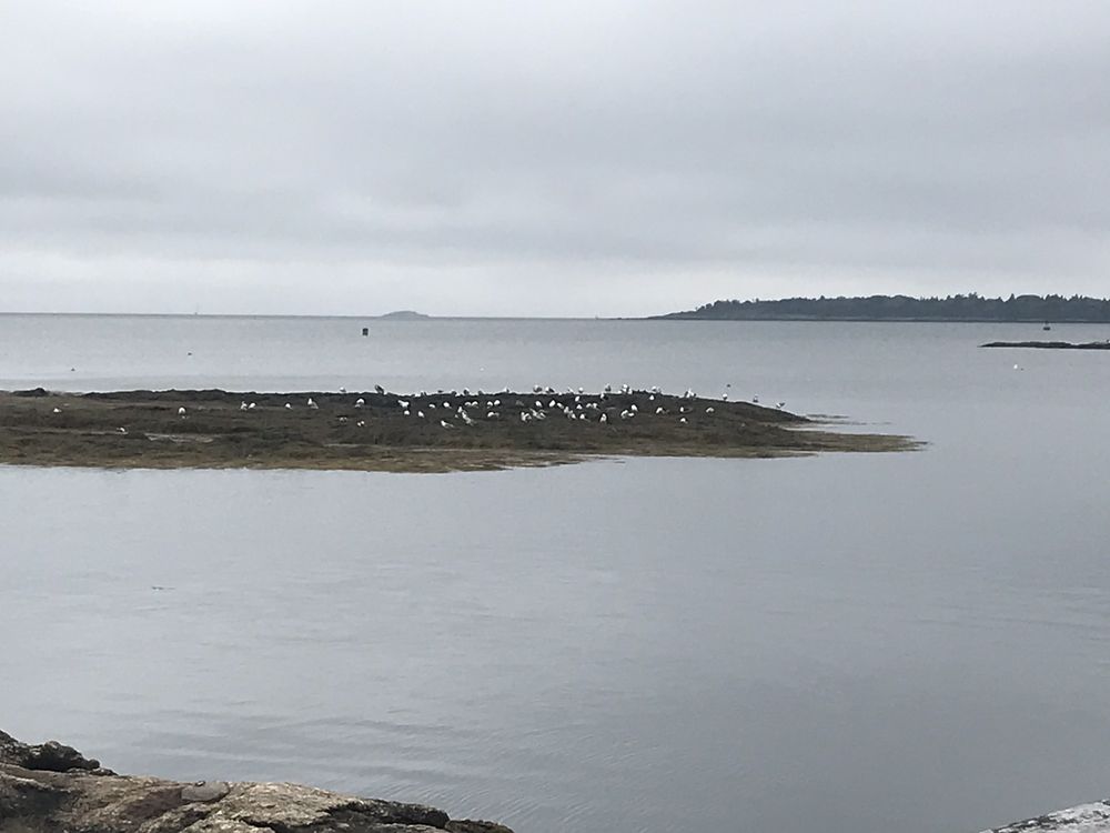 SEBASCO HARBOR RESORT - 69 Photos & 33 Reviews - 29 Kenyon Rd, Sebasco ...