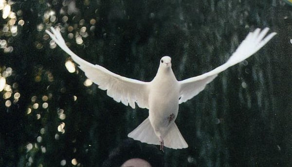 BRYAN-BRAKER FUNERAL HOME - Updated December 2025 - 55 Reviews - 1850 W ...