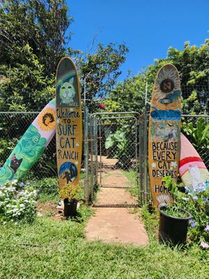 SURF CAT RANCH - MAUI CAT SANCTUARY - Updated October 2025 - 13 Photos ...