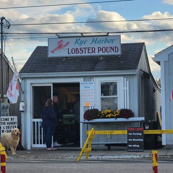 RYE HARBOR LOBSTER POUND - Updated August 2024 - 188 Photos & 138 ...