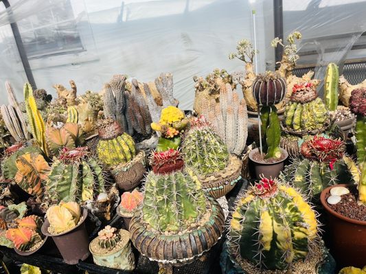 MIMI NURSERY - Updated May 2025 - 6407 Photos & 69 Reviews - 13352 ...