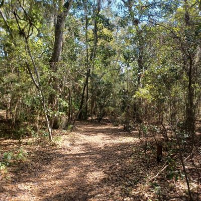 ALEJANDRO GARCES CAMP TOMAHAWK PARK - Updated December 2025 - 15 Photos ...