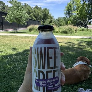 SOUTHRIDGE RECREATION CENTER - Updated April 2025 - 34 Photos & 24 ...