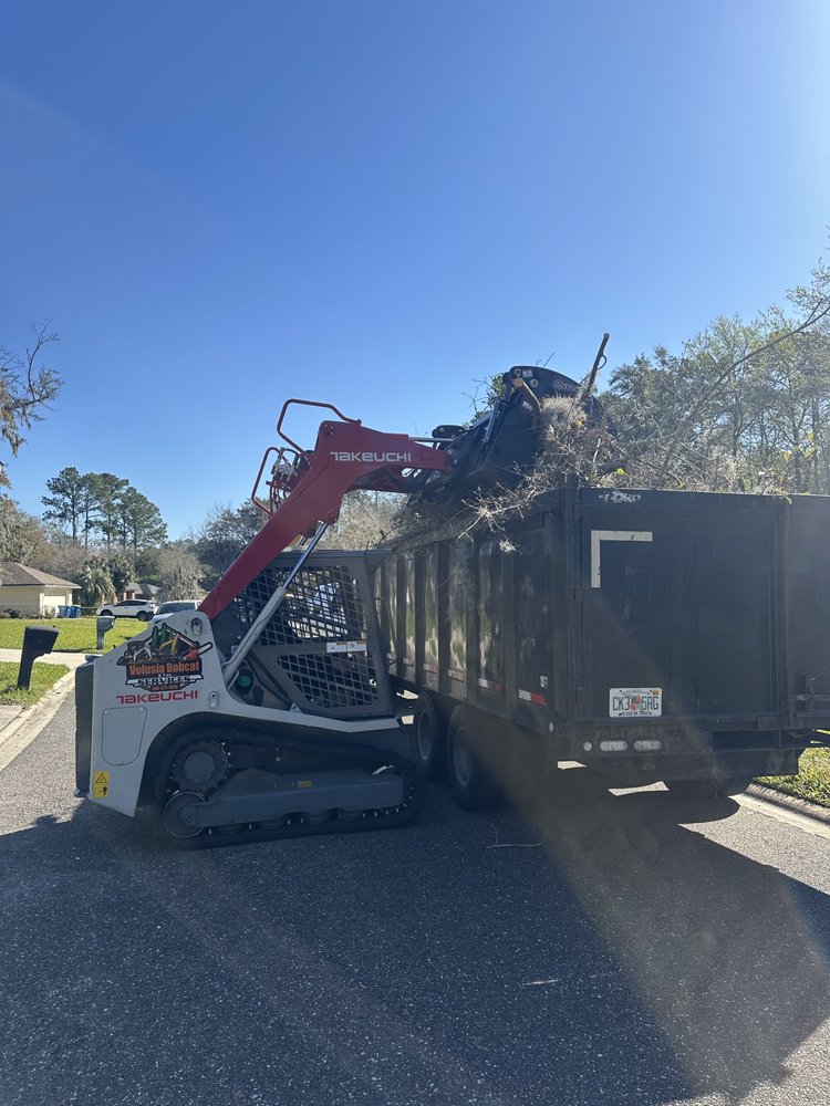 VOLUSIA BOBCAT & TREE SERVICE - Updated May 2025 - 17 Photos - 210 ...