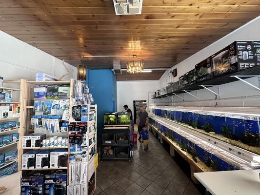 THE FISH BARN - 19 Orinda Way, Orinda, California - Aquarium Services ...