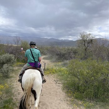 HOUSTON’S HORSEBACK RIDING - Updated December 2025 - 80 Photos & 50 ...