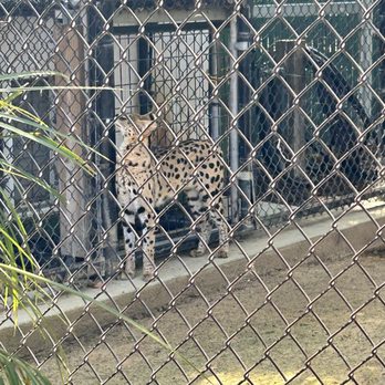 VISION QUEST RANCH - Updated November 2025 - 827 Photos & 320 Reviews ...