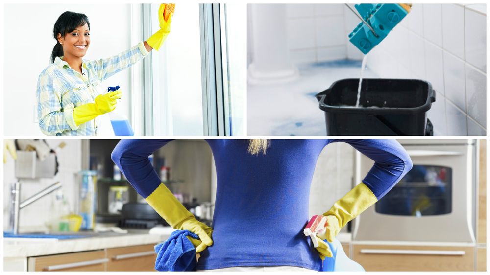 QUEEN BEE HOUSEKEEPING - Updated May 2024 - Columbia, South Carolina ...