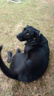 Oxford Ranch Campground - Trusted Since 2010 - Updated July 2025 - 18 ...