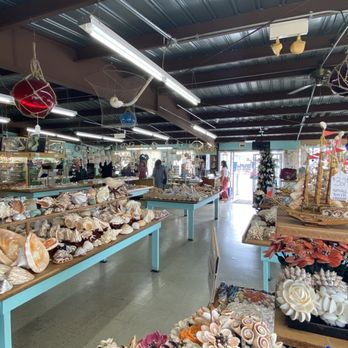 THE SHELL SHOP - Updated December 2025 - 217 Photos & 141 Reviews - 590 ...