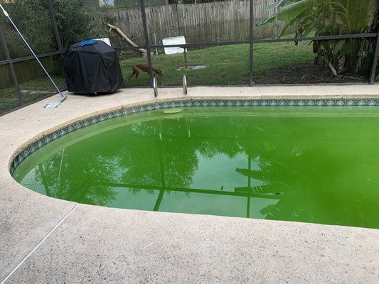 FIRSTKEY HOMES - 13 Reviews - 7087 Grand National Dr, Orlando, FL - Yelp