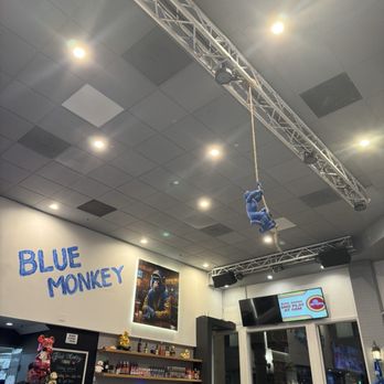 BLUE MONKEY CAFE & RESTAURANT - Updated April 2025 - 1401 Photos & 352 ...