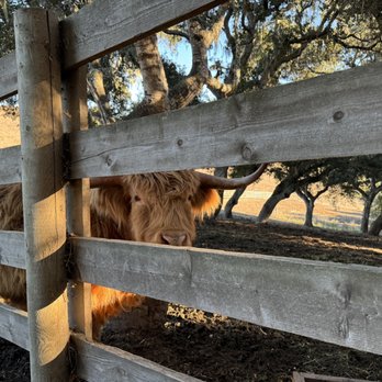 CARMEL VALLEY RANCH - Updated April 2025 - 1433 Photos & 609 Reviews ...