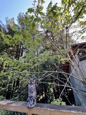 MILL VALLEY PUBLIC LIBRARY - Updated October 2025 - 77 Photos & 93 ...