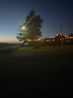 CASTLE INN - Updated May 2024 - 151 Photos & 126 Reviews - 6620 ...