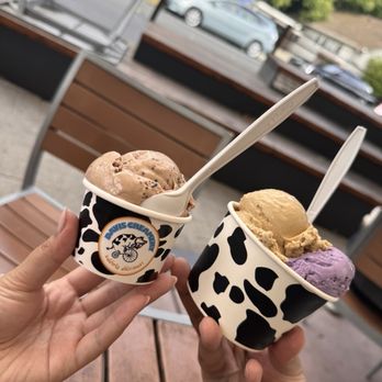 DAVIS CREAMERY - Updated June 2025 - 390 Photos & 411 Reviews - 113 E ...