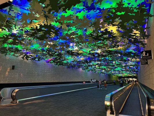 CONCOURSE B - Updated July 2025 - 126 Photos & 56 Reviews - 6000 N ...